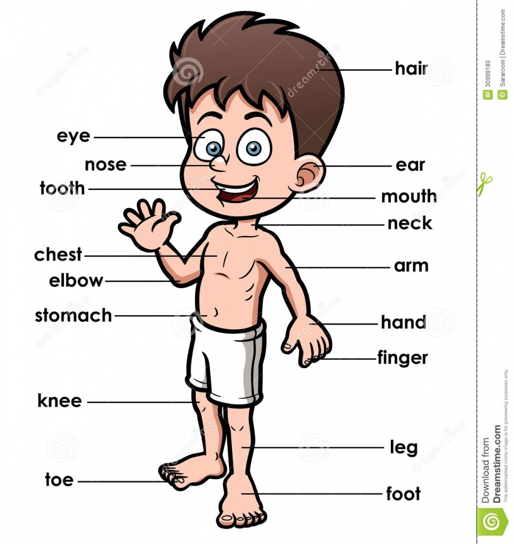 10 Body Parts 3 Letters Free Letter Templates 10 Body Parts 3 Letters Free Letter Templates